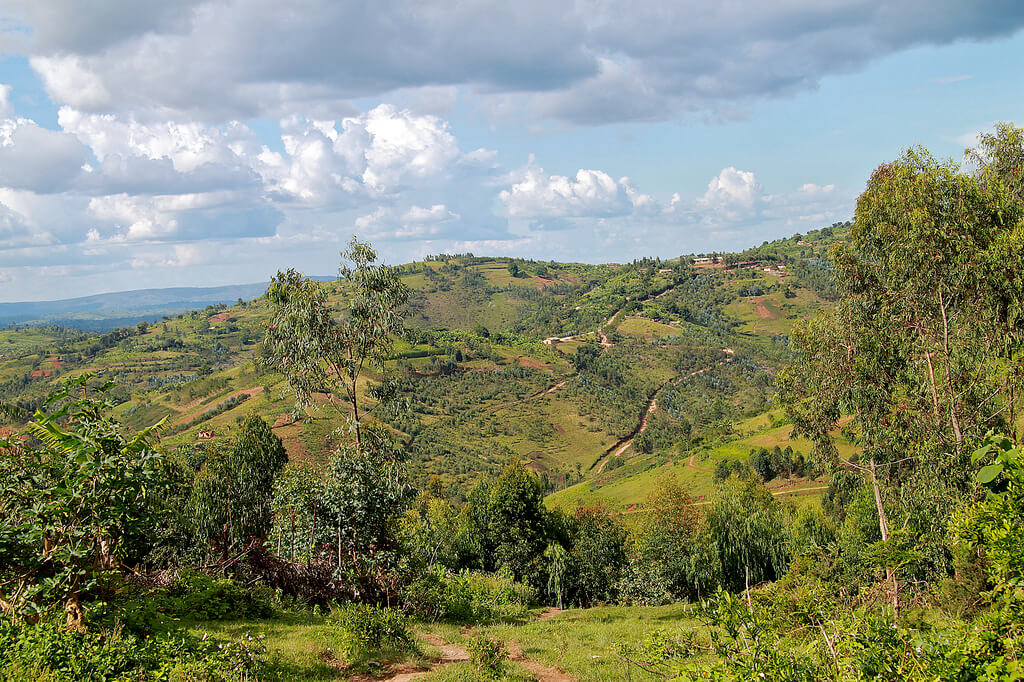 Gdzie i kiedy jechać do Burundi? Klimat i pogoda